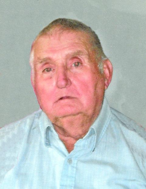 Travis-Noe Funeral Home: Kirksville, MO — Obituary for Ellis "Wayne" Young